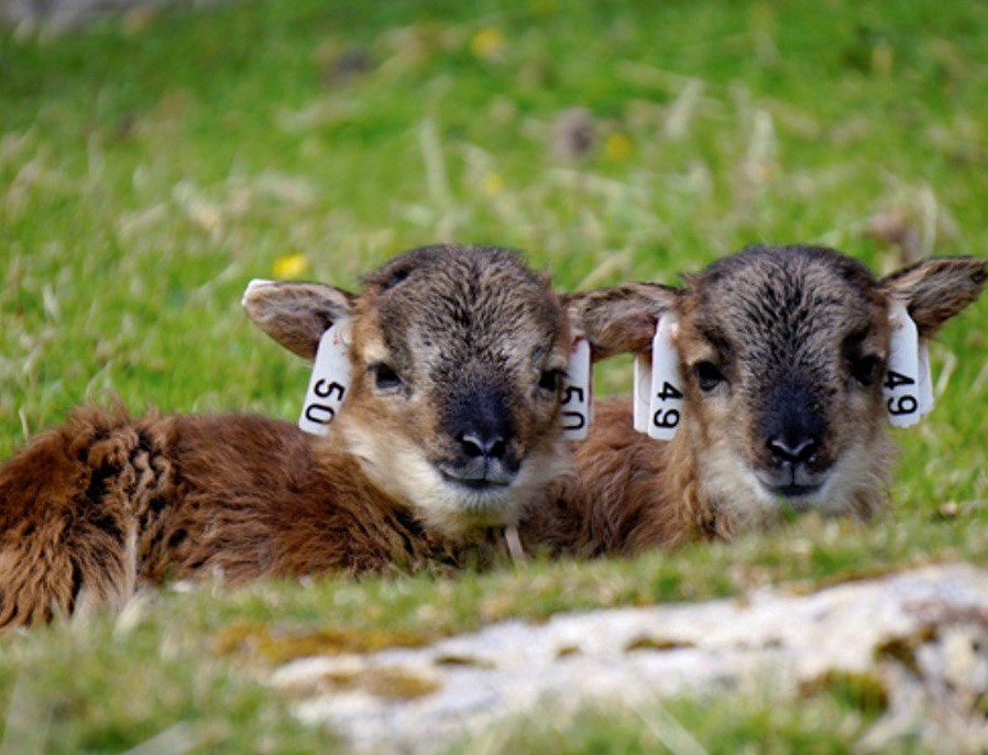 People – Johnston Lab